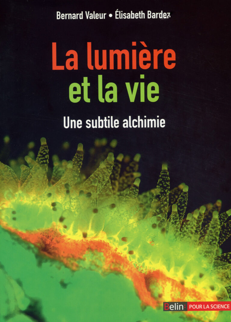 Fête des Lumières 2017 : les valeurs sûres de l'événement