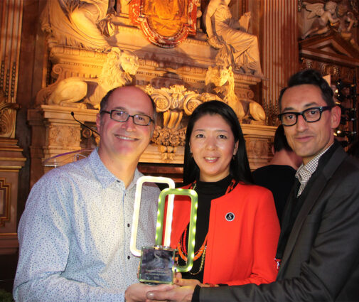 Fête des Lumières 2016 : Platonium de Éric Michel et Akari-Lisa Ishii
