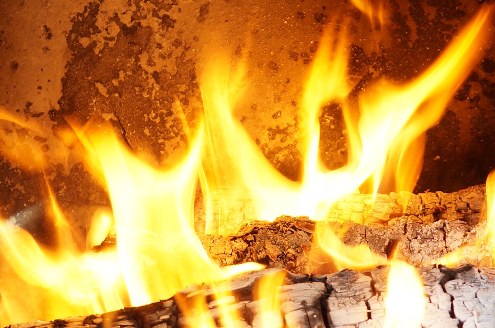 Et le feu fut... Comment s’éclairer la nuit ? Histoire, sciences