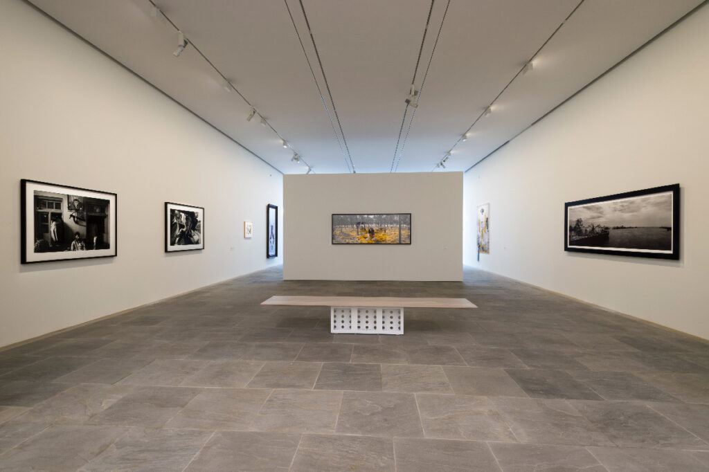 Fondation Carmignac, île de Porquerolles par Les éclaireurs