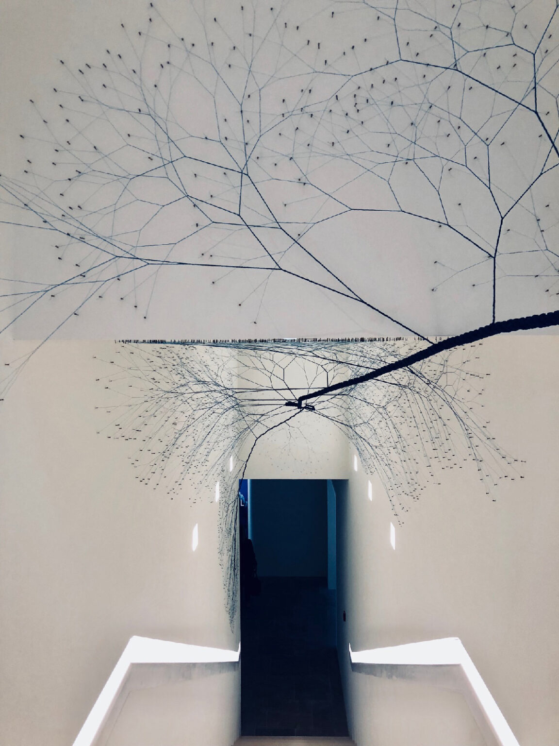 Fondation Carmignac, île de Porquerolles par Les éclaireurs