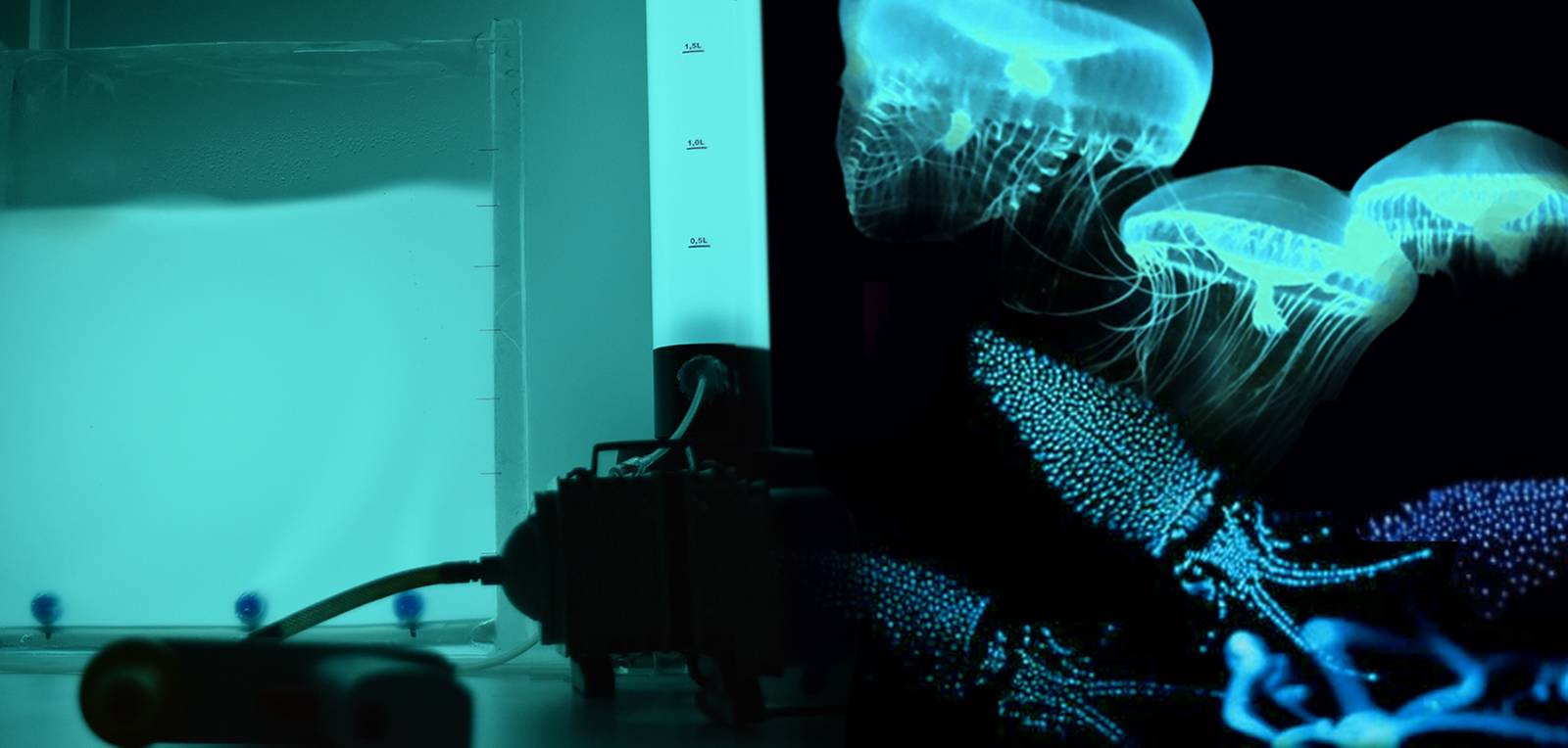 Glowee : J-15 pour devenir actionnaire de la bioluminescence