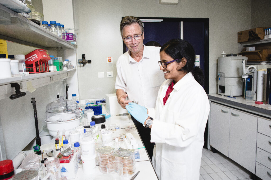 Thomas Ebbesen et la transmission optique extraordinaire