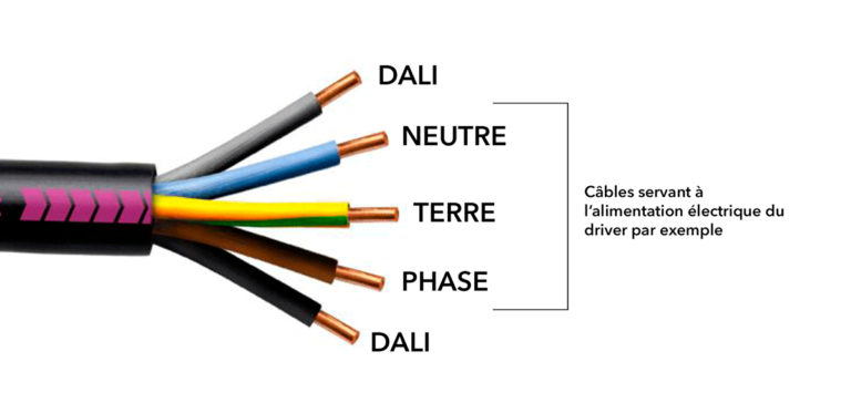 DALI, une technologie de pilotage dédiée à l’éclairage
