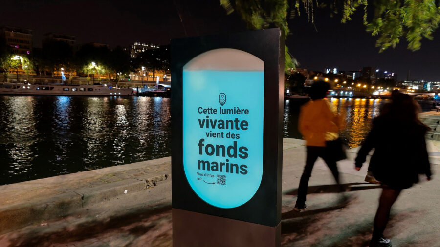 Glowee, créatrice de lumière bioluminescente