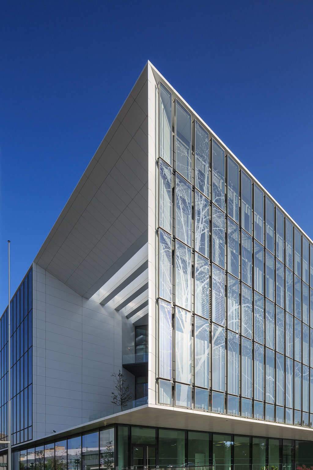 Mise en lumière du CIRC à Lyon, de Demathieu Bard Bâtiment