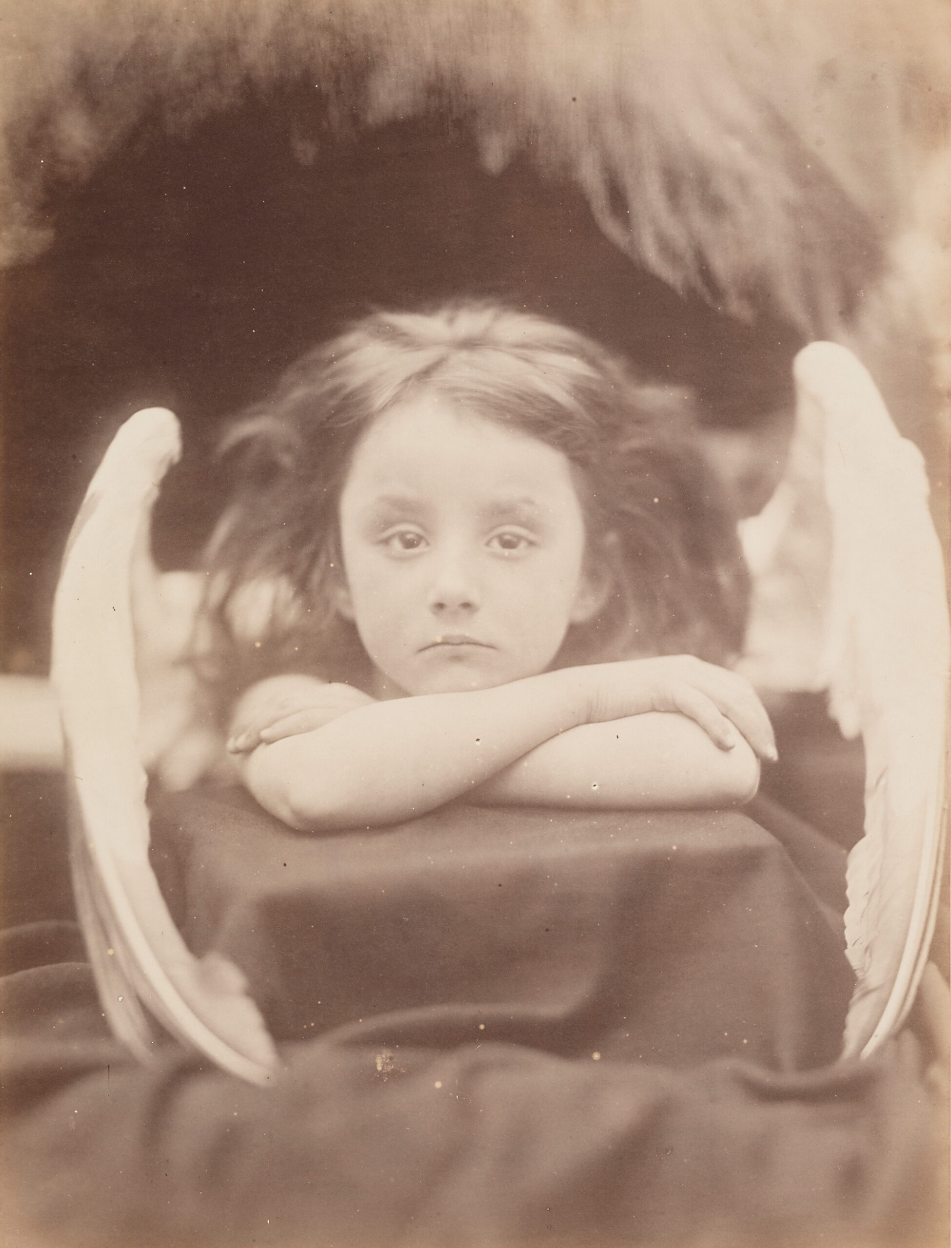 Julia Margaret Cameron : l’émouvante sensibilité du collodion