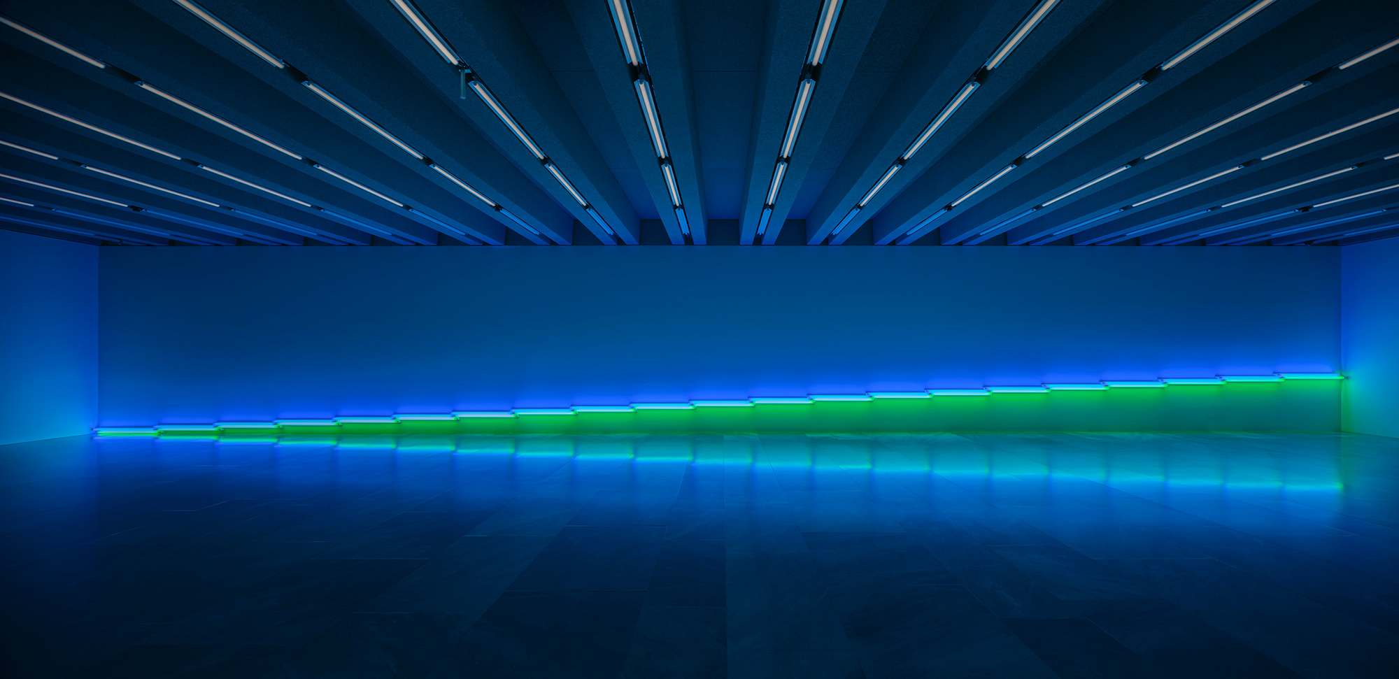Dan Flavin : Dédicaces en lumière à Bâle en Suisse