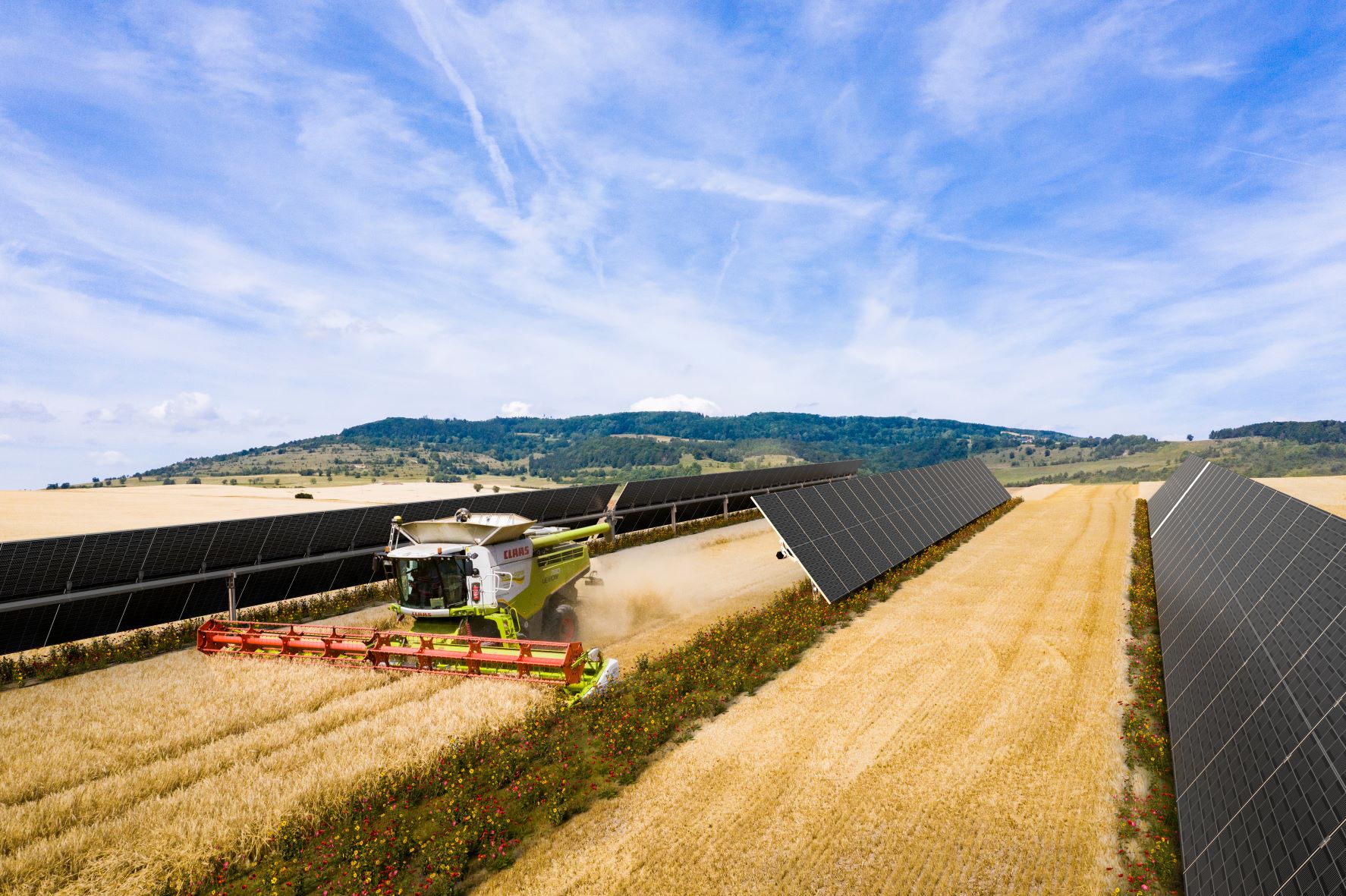 Agrivoltaïsme : Velux et BayWa r.e. innovent en Espagne
